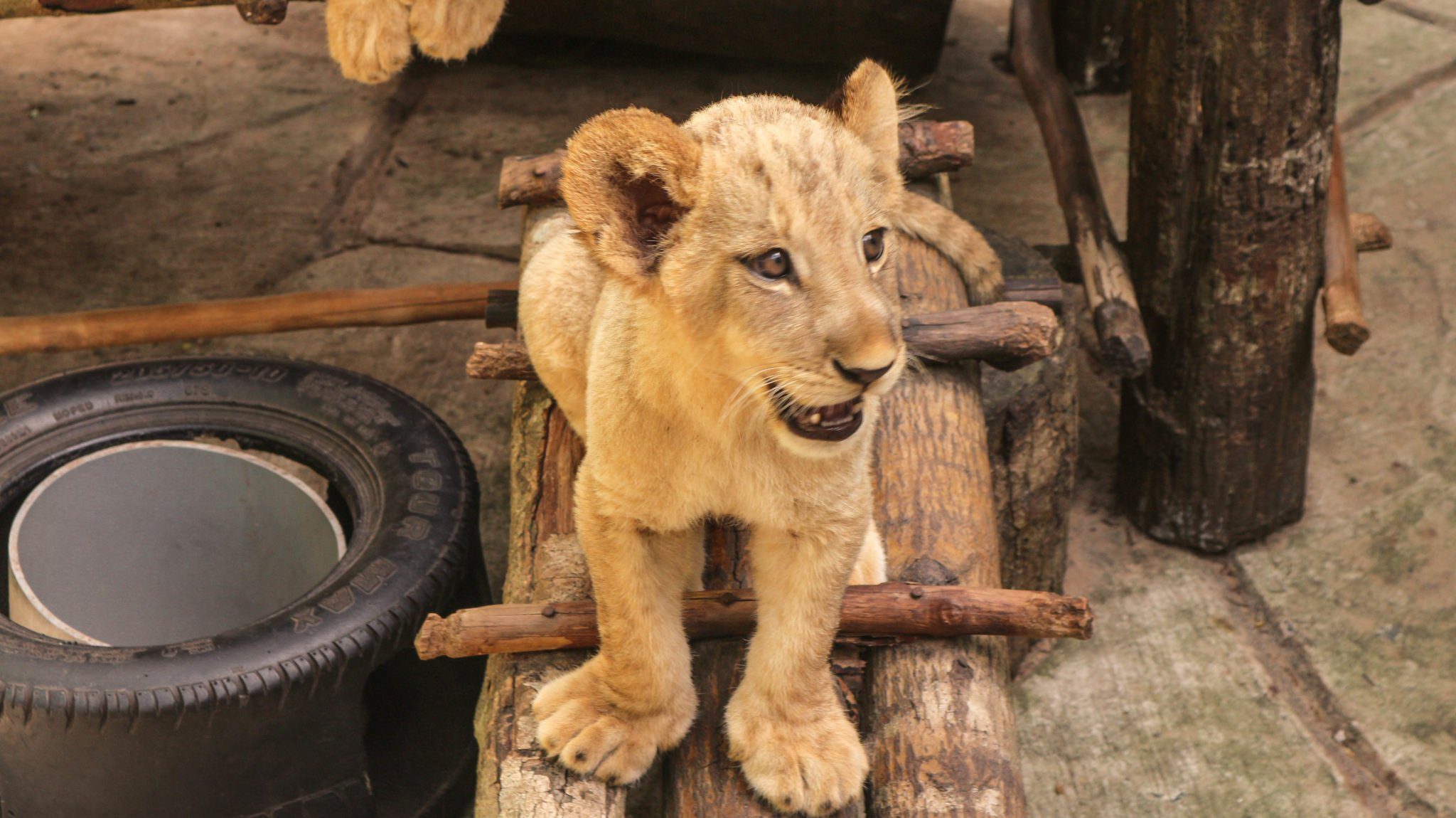 What to Do in Phu Quoc (aka Koh Tral) - AvyTravel