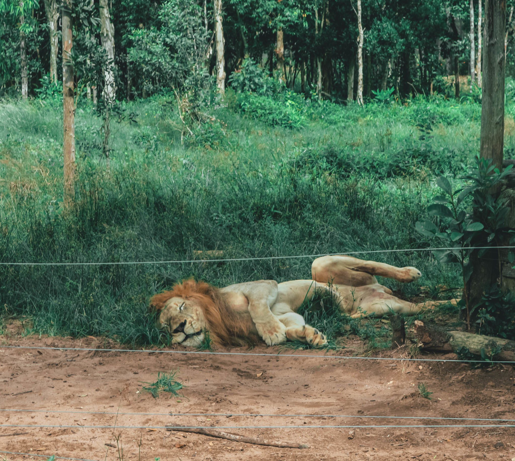 What to Do in Phu Quoc (aka Koh Tral) | AvyTravel